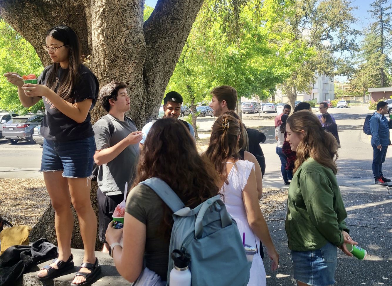 End-of-Semester Celebration | School of Law